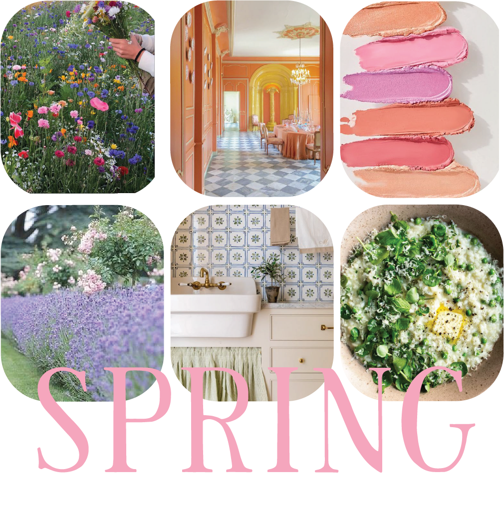 How to Choose Your Brand Colors - Drewe & Kate